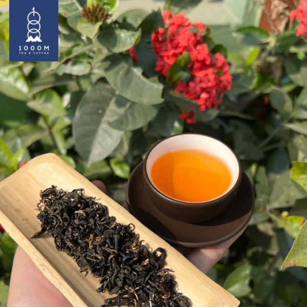 Khám Phá Trà Shan Tuyết Đặc Sản Việt Nam: Tinh Hoa Từ Đỉnh Núi - 1000M