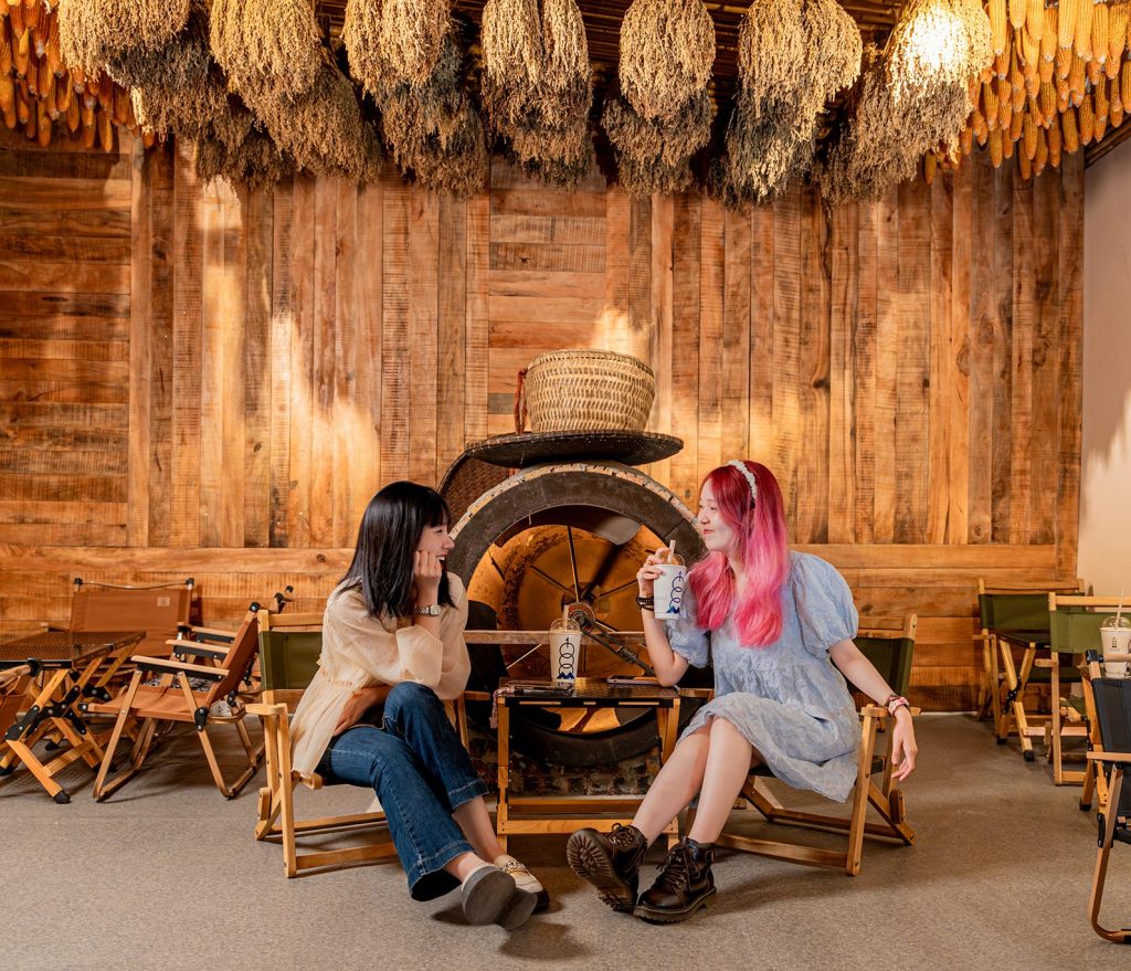 1000M - Shan Tuyết thượng hạng 100 tuổi, ở độ cao 1000 mét